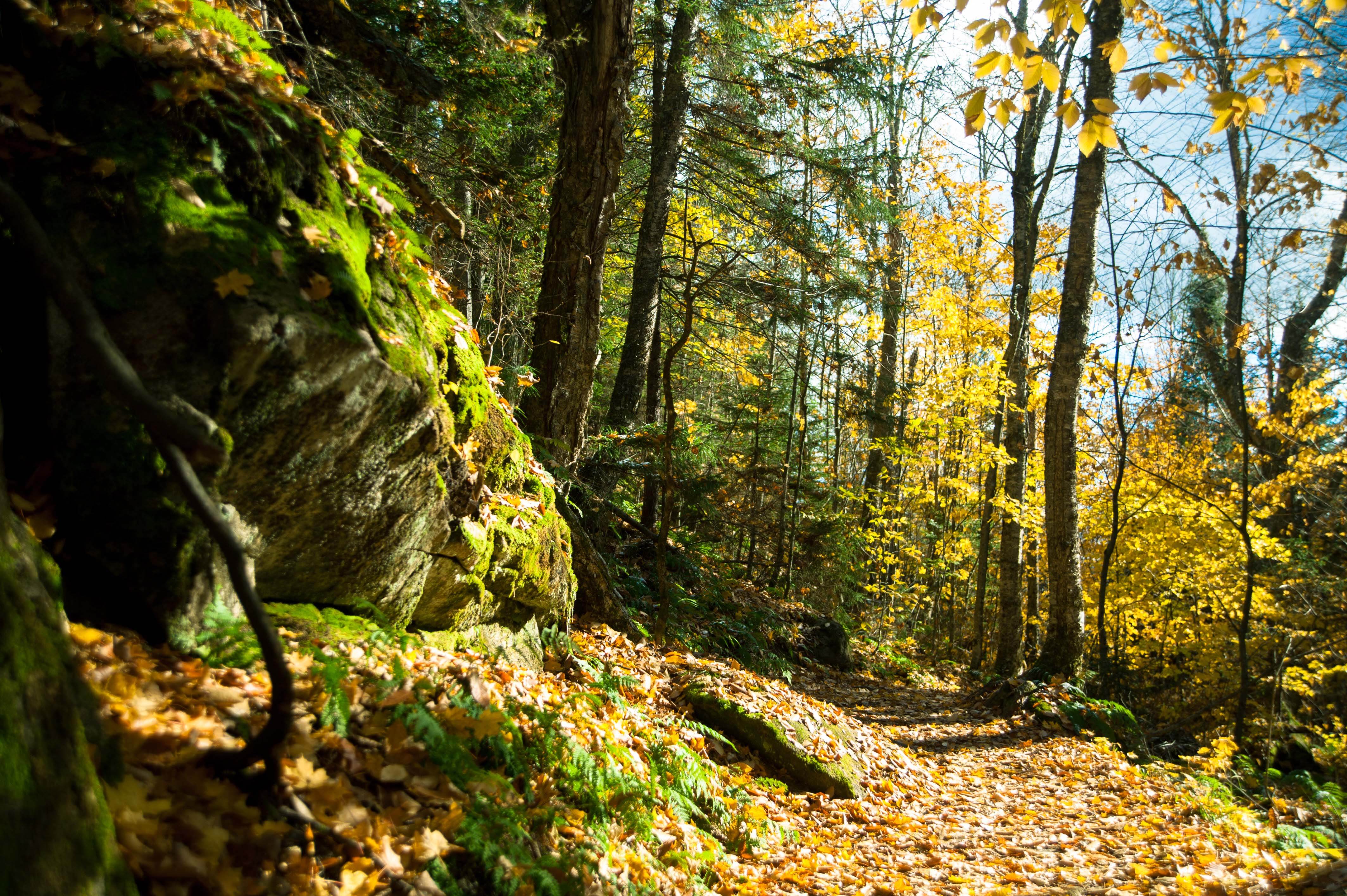 Réseau de milieux naturels protégés | BIOPOLIS